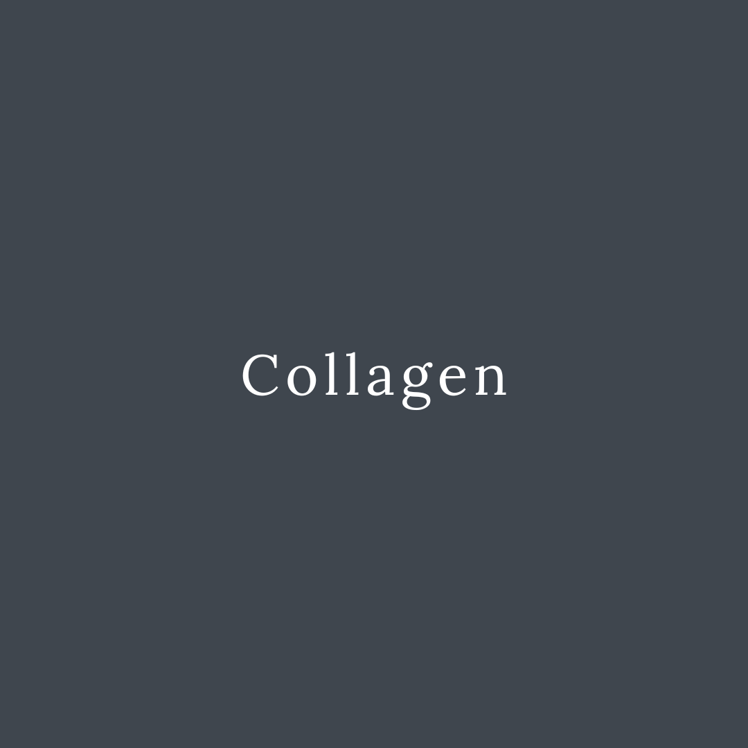 Collagen | Ingredient Glossary | GP Nutrition