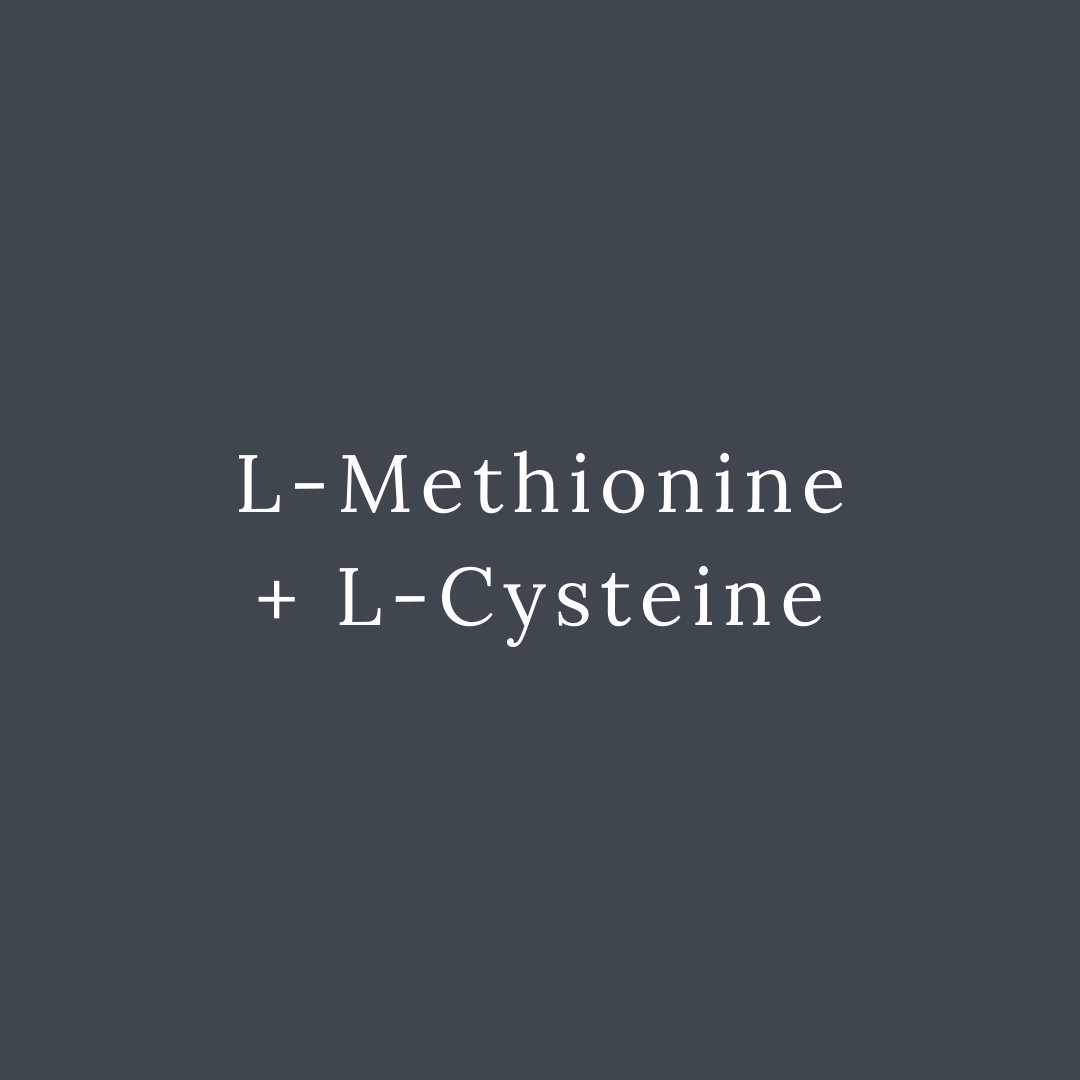 L-Methionine + L-Cysteine | Ingredient Glossary | GP Nutrition